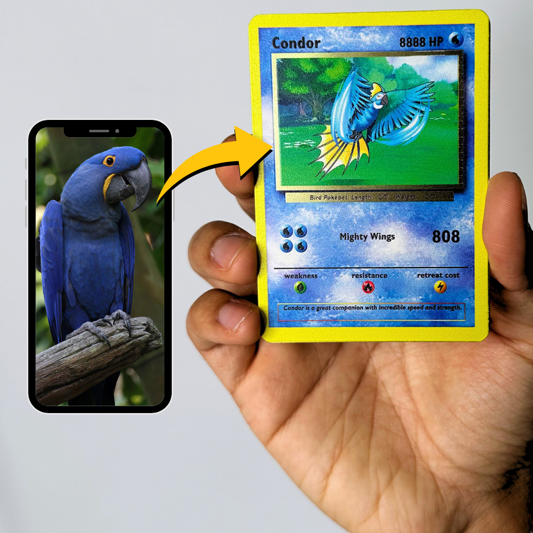 Pokepet Starter Pack - Poke Pet Shop