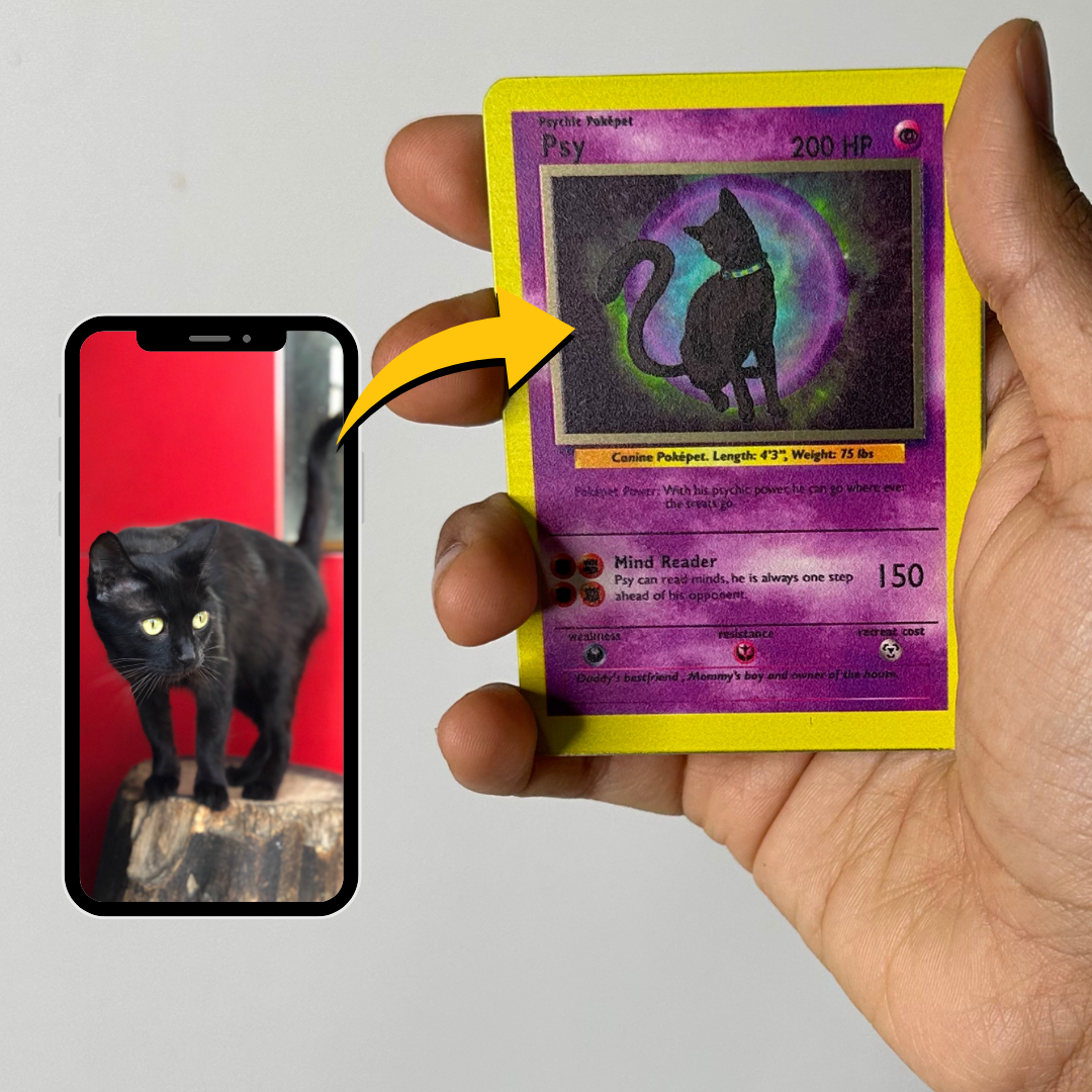 Pokepet Starter Pack - Poke Pet Shop