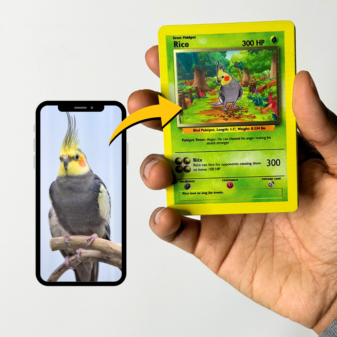 Pokepet Starter Pack - Poke Pet Shop