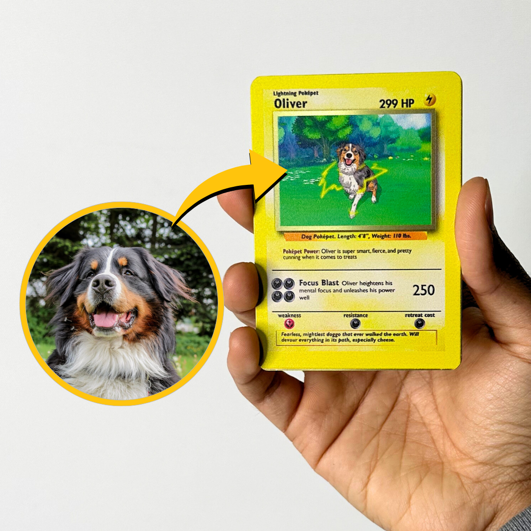 Pokepet Starter Pack - Poke Pet Shop