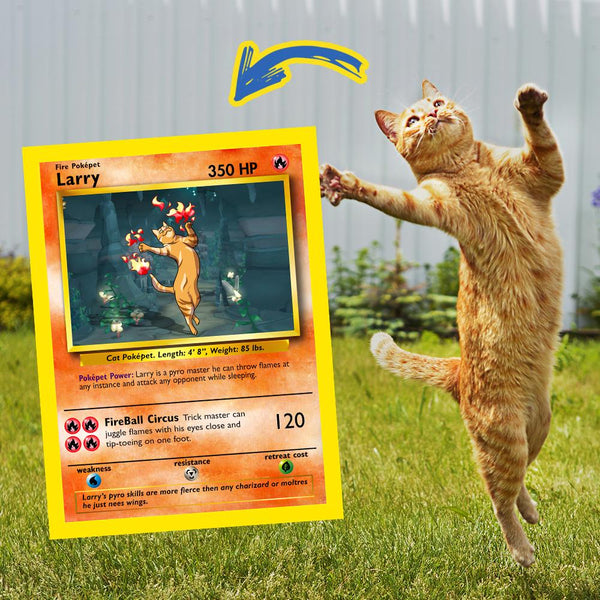 Pokepet Digital product - Poke Pet Shop